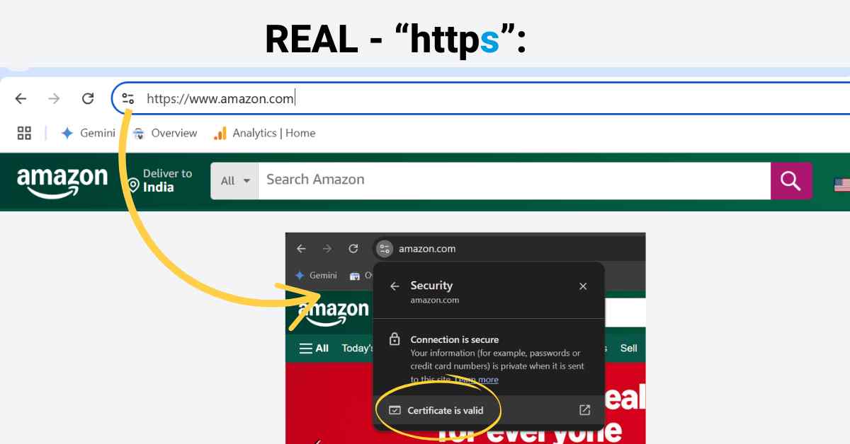 Top 10 Best Ways to Know Whether a Website is Fake or Not? [UPDATED 2025]
